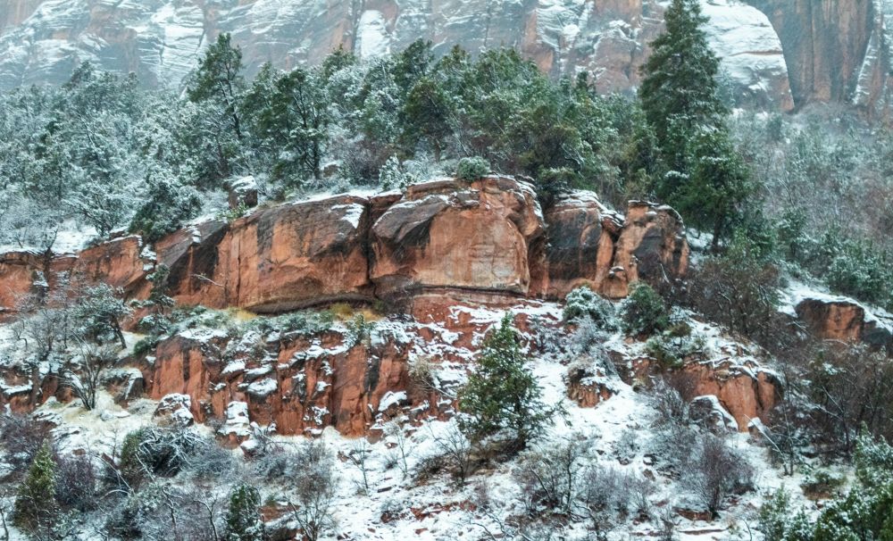 Association Brain Food: 1.16.26 – Association Brain Food